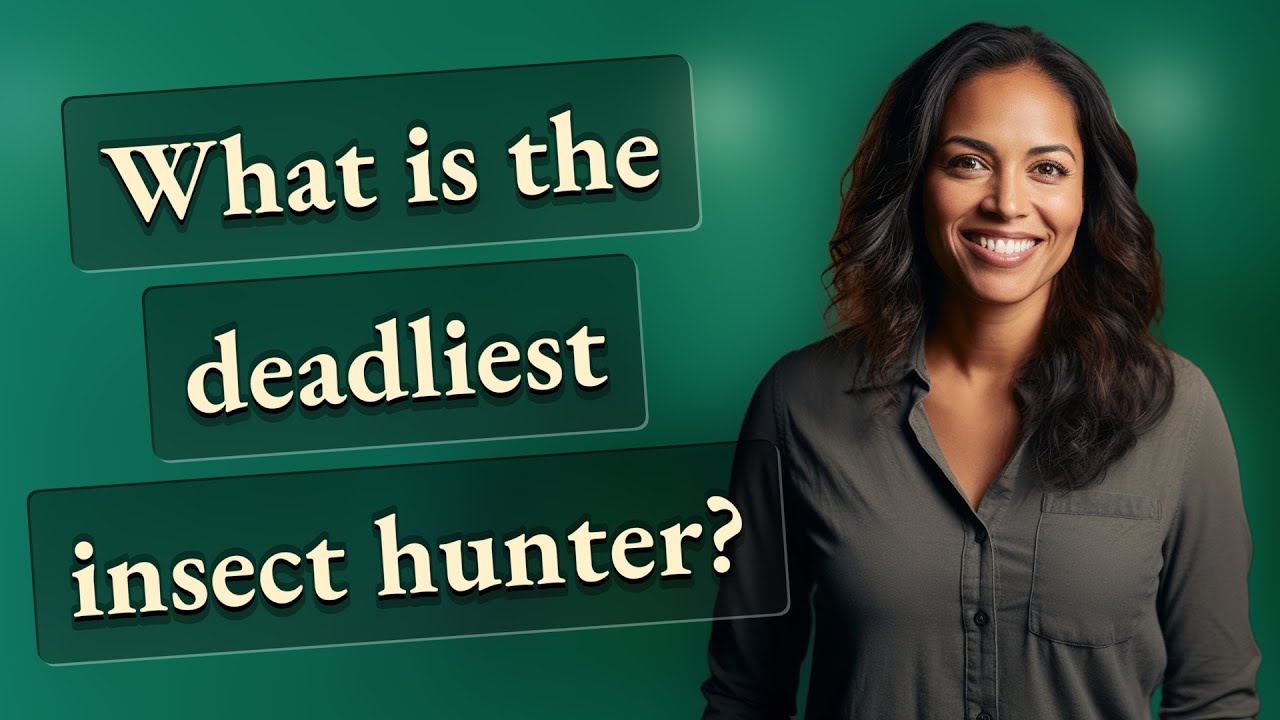What is the deadliest insect hunter? - YouTube