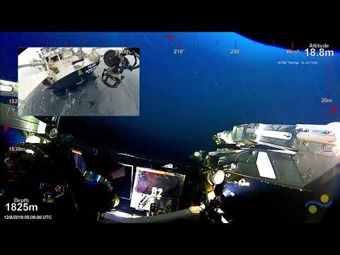 ROV SuBastian Dive 285 - Nintoku Seamount