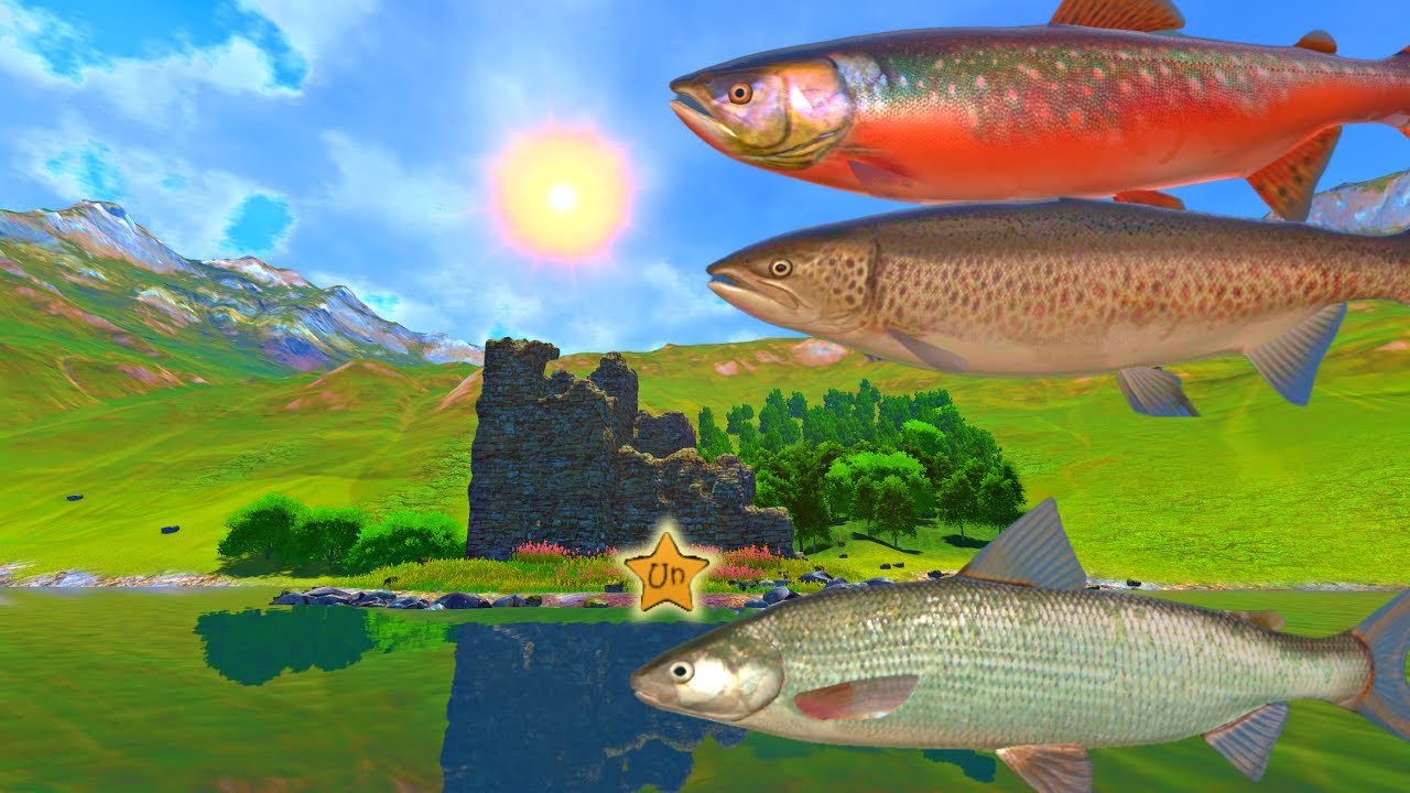Trophy Powan Whitefish | Trophy Spot | Scotland Loch Maro | Fisher ...