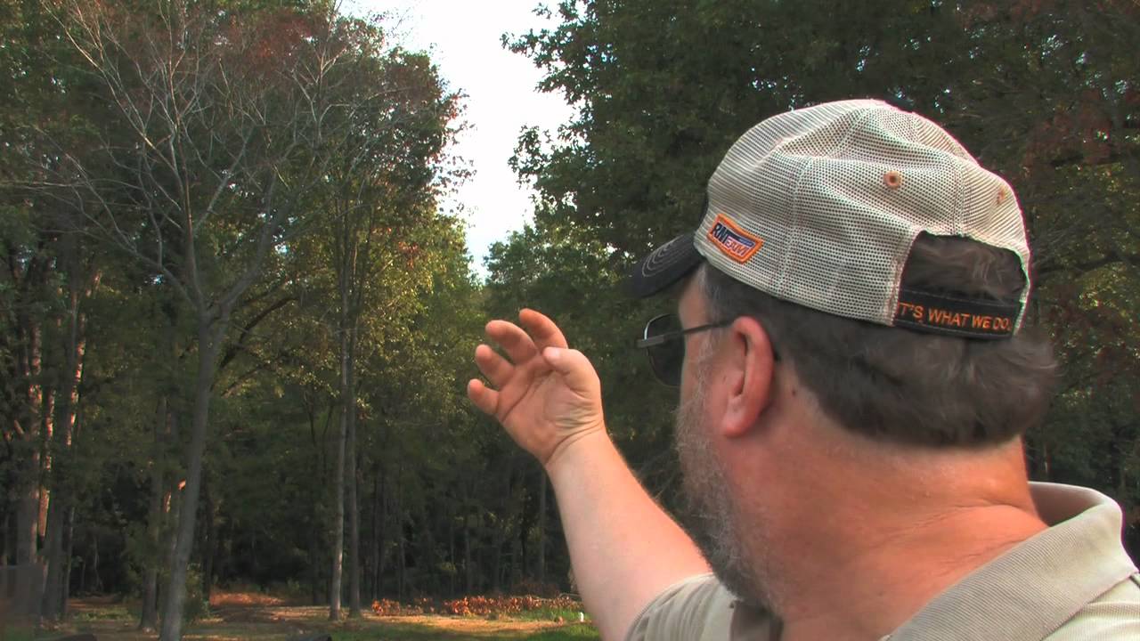 RNT-V Tips of the Trade: Timber hunting tactics - YouTube