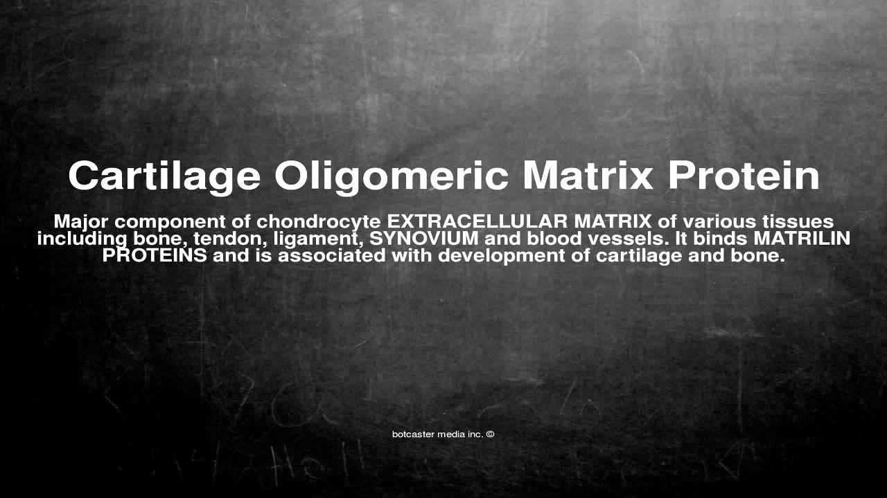 Medical vocabulary: What does Cartilage Oligomeric Matrix Protein mean ...