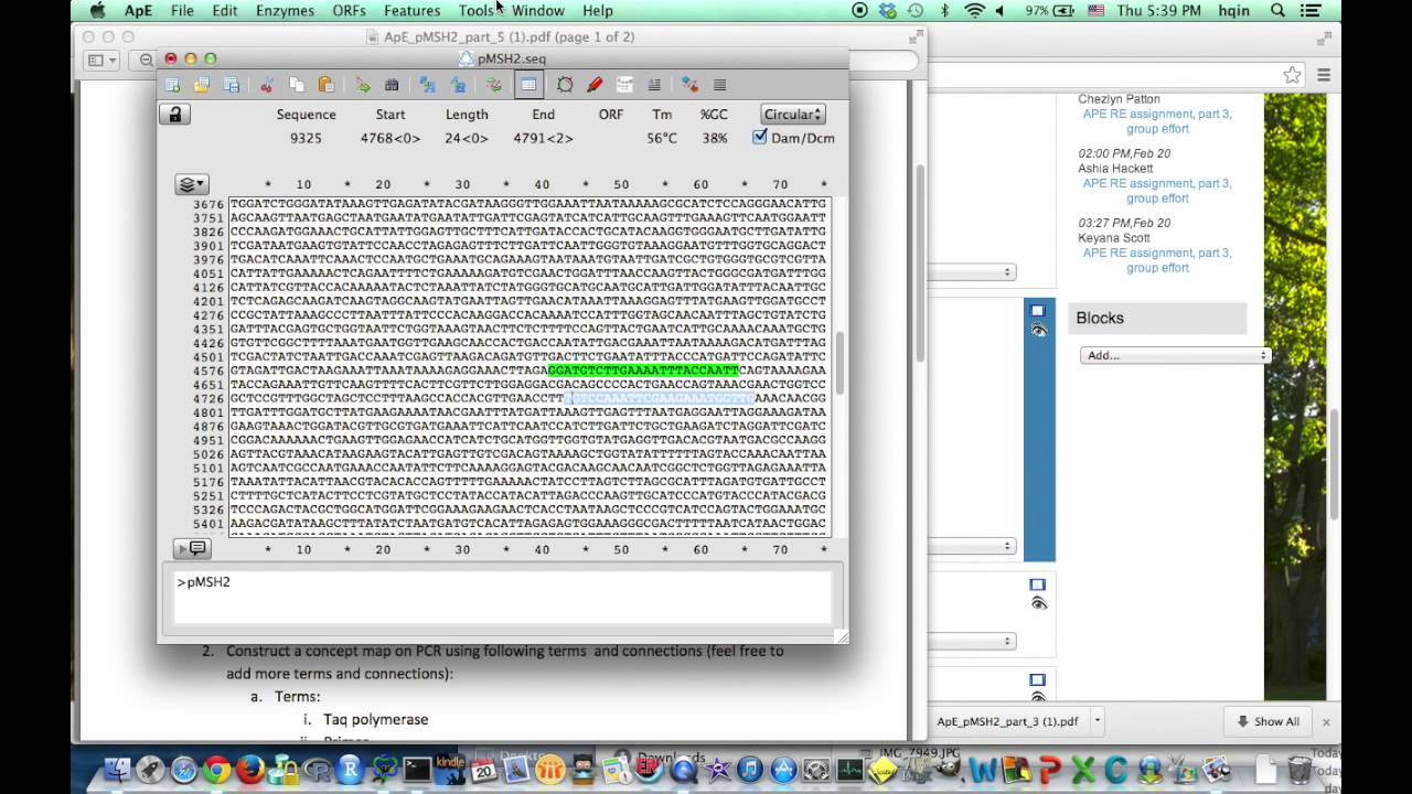 Analyze primers on a plasmid using ApE - YouTube