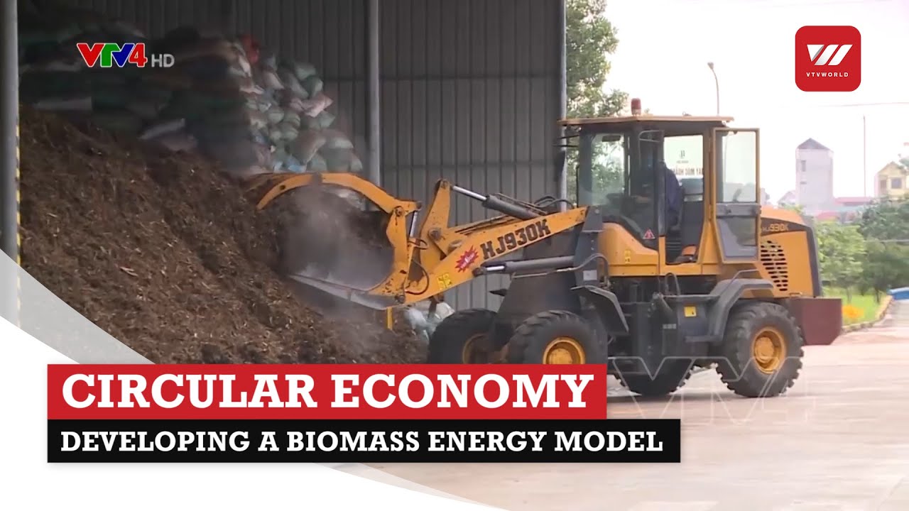 Circular economy: Developing a biomass energy model | VTV World - YouTube