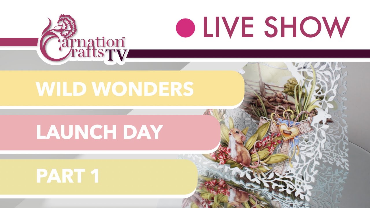 Carnation Crafts TV - Wild Wonders Launch Day: Part 1 - YouTube