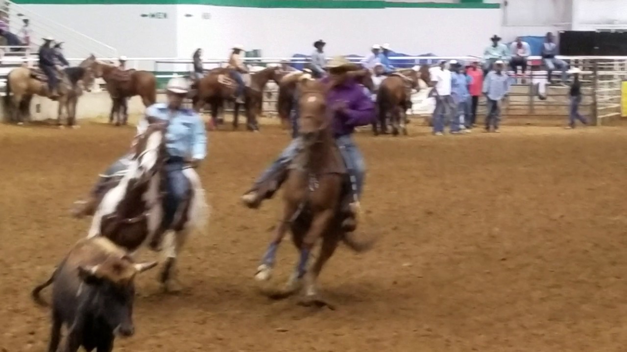 Team work 5th place steer undecorating bill picket 2017 - YouTube
