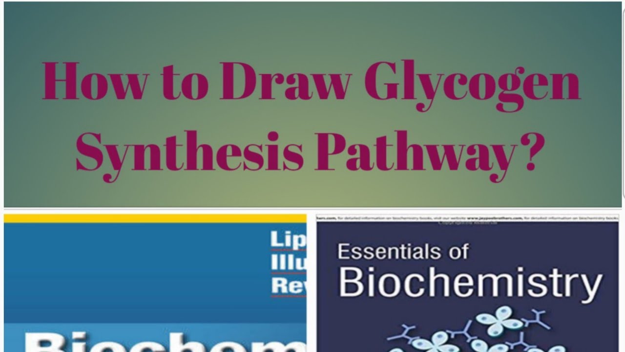 Glycogen Syntheis/How to Draw? #mbbs #biochemistry #carbohydrate - YouTube