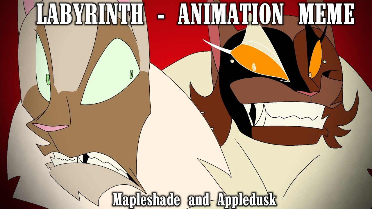 LABYRINTH - Mapleshade and Appledusk | Animation Meme - YouTube