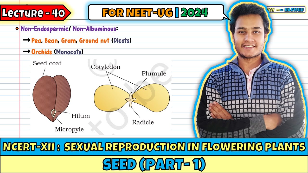 Lec 40- Seed (Part- 1) | Sexual Reproduction in Flowering Plants ...