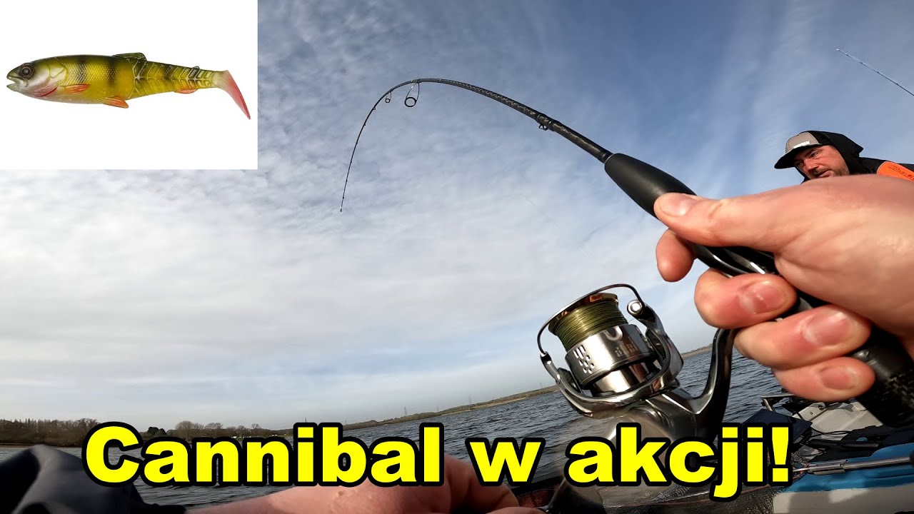 Piękne branie na CANNIBALA! / Savage Gear Cannibal Craft! / Zander from ...