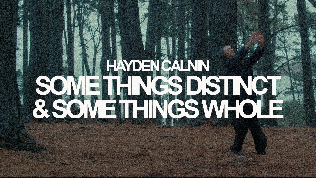 Some Things Distinct & Some Things Whole (Official Video) - Hayden ...