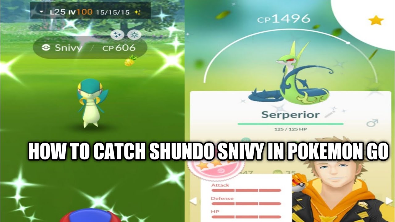 How to catch a SHUNDO (Shiny hundo) SNIVY in Pokemon go - SNIVY ...