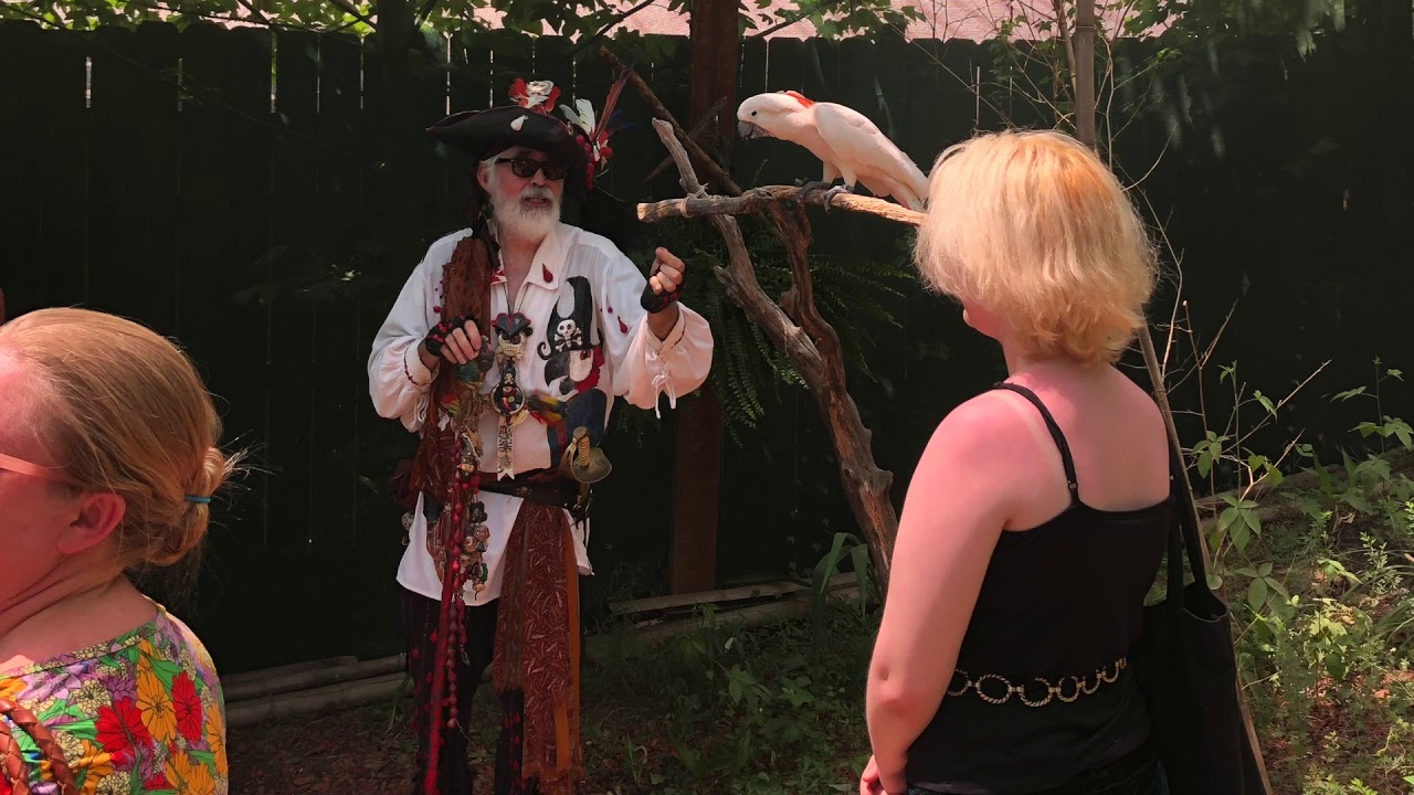 Georgia Renaissance Festival in Fairburn, Georgia - YouTube