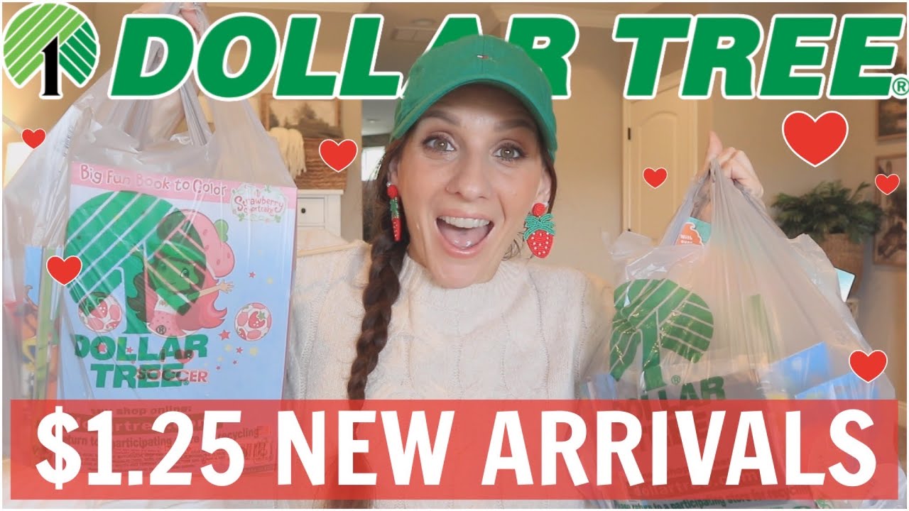 *LOVE* ️ DOLLAR TREE HAUL | $1.25 BRAND NEW ARRIVALS | I found some ...
