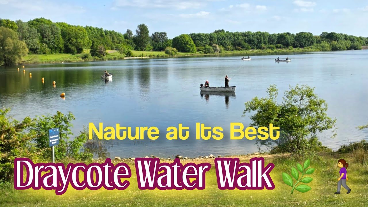 Walking Around Draycote Water | Scenic Nature Walk in Warwickshire ...