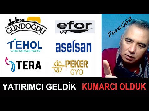 Gündoğdu Gıda - Tera Yatırım - Efor Yatırım - Peker Gyo - Aselsan - Tehol Hisse Yorum