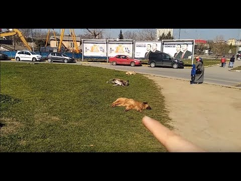 Uyuyan Güzelleri Sevdim