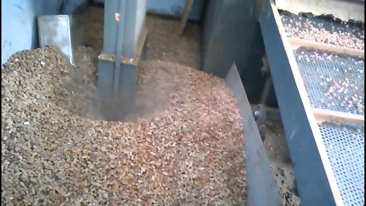ground nut seed machine & elevator - YouTube