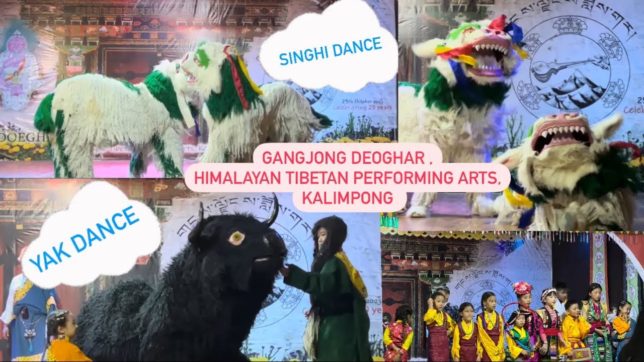 Singhi Dance | Yak Dance | Snow lion Dance | Tibetan Performing Arts ...