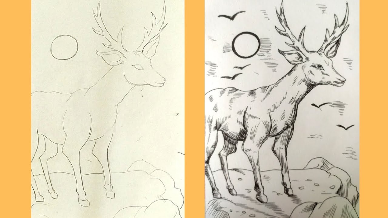 How to draw deer drawing easy step by step 🦌| how to make deer drawing ...