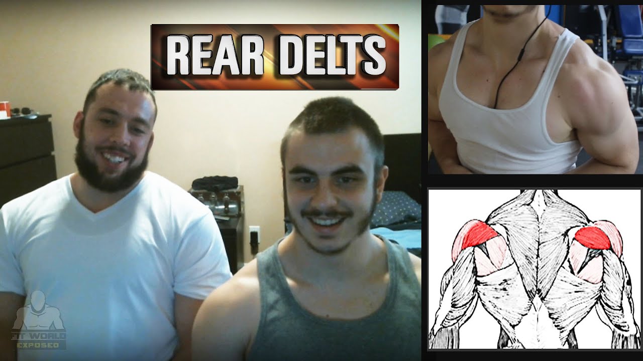 Ultimate Guide to Reach Your Rear Delt Genetic Potential! - YouTube