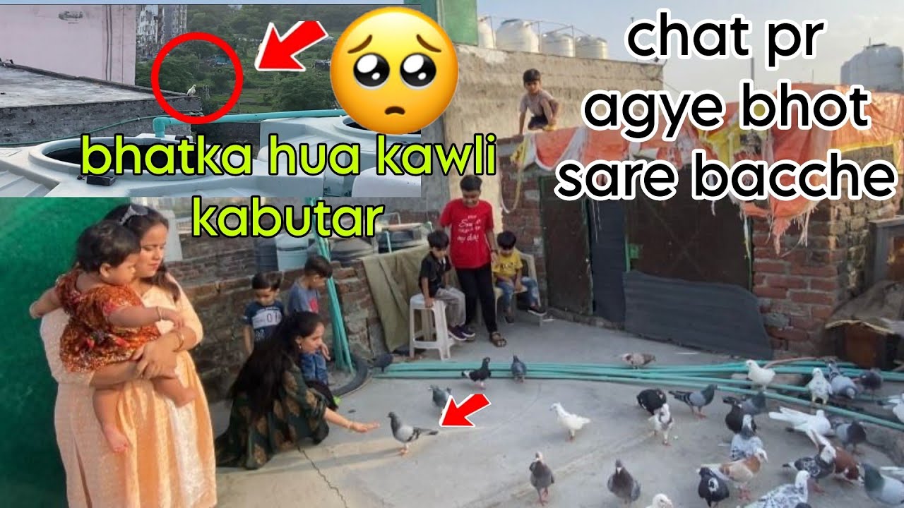 Chat pr agye bhot sare bacche 😱 kabutaro ko kar diya pareshan 🤭 bhatka ...