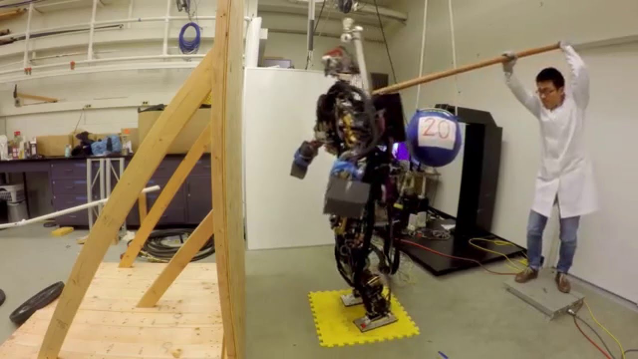 Robots attacked by Humans - YouTube
