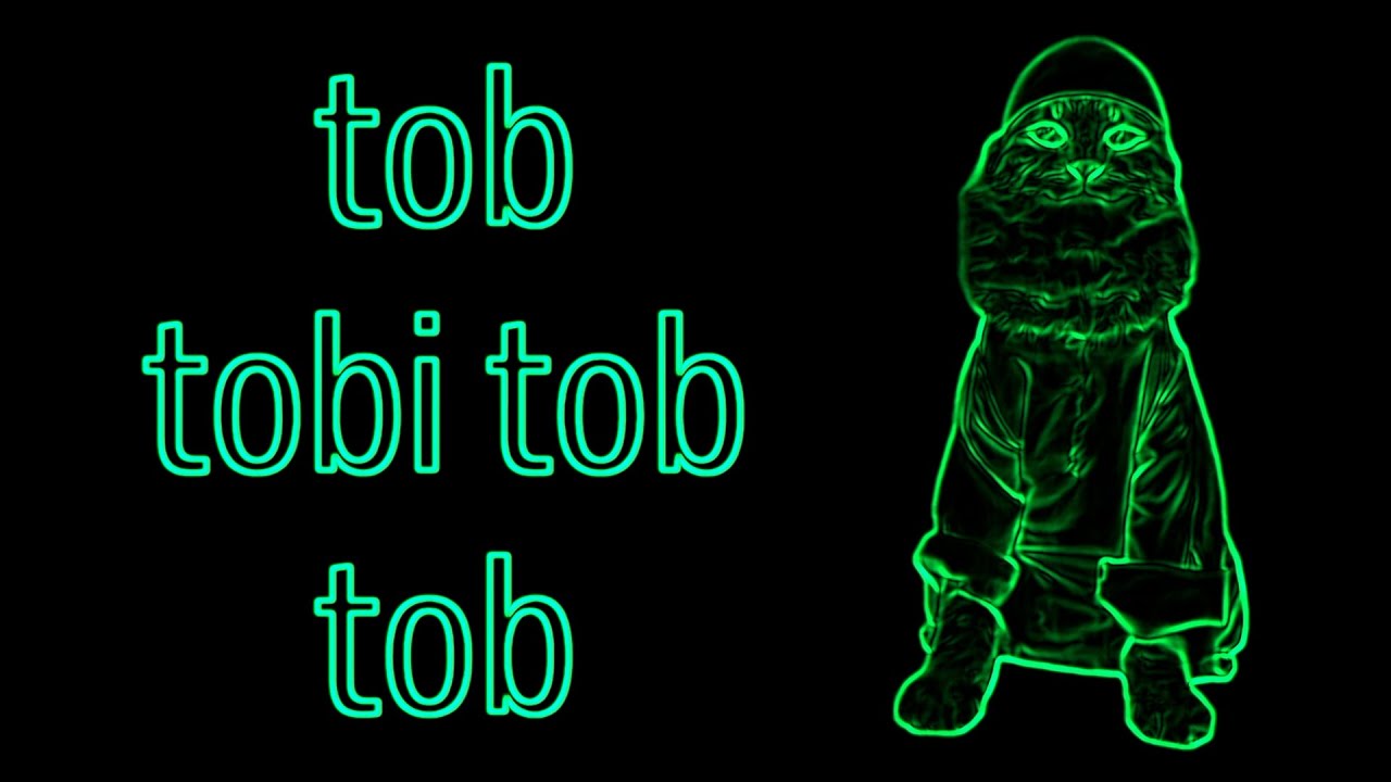 Tob Tobi Tob Tob Tobi Tob Lyrics Video (Muslim Cat) Vocoded To Gangsta ...