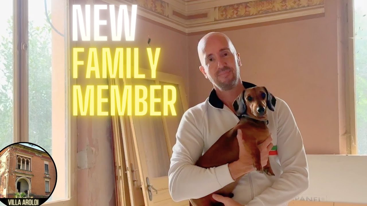 DIY Dog Ramp for Our New Wiener Dog: Episode 56 of our Italian house ...