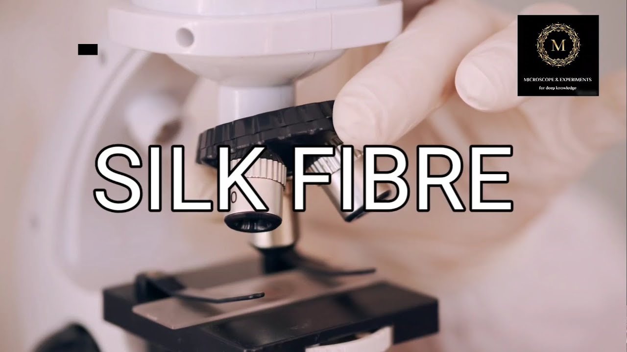 silk fibre in Microscope - YouTube