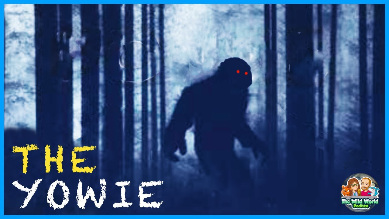 The Yowie - Cryptid Court - YouTube