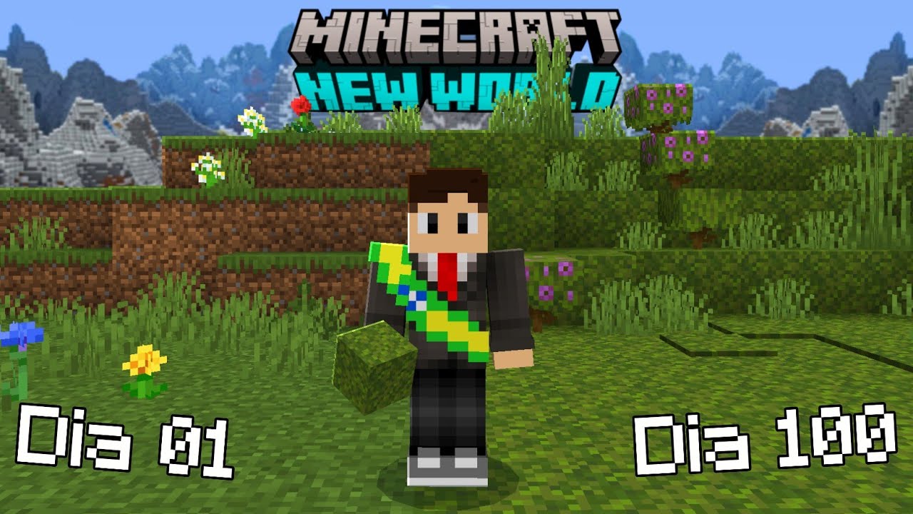 Eu Passei 100 Dias Trocando As Grama Desse Vale No Minecraft O Filme