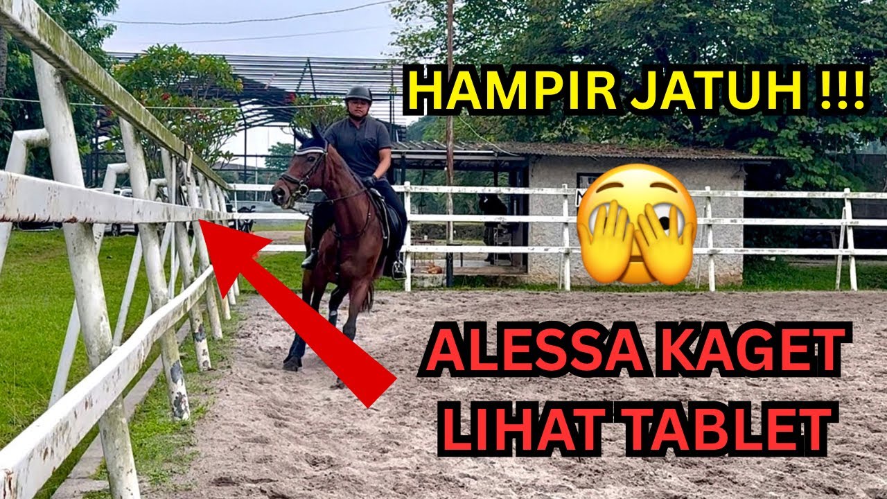 KUDA ALESSA KAGET SAAT LATIHAN ‼️ LIHAT TABLET ⁉️ - YouTube