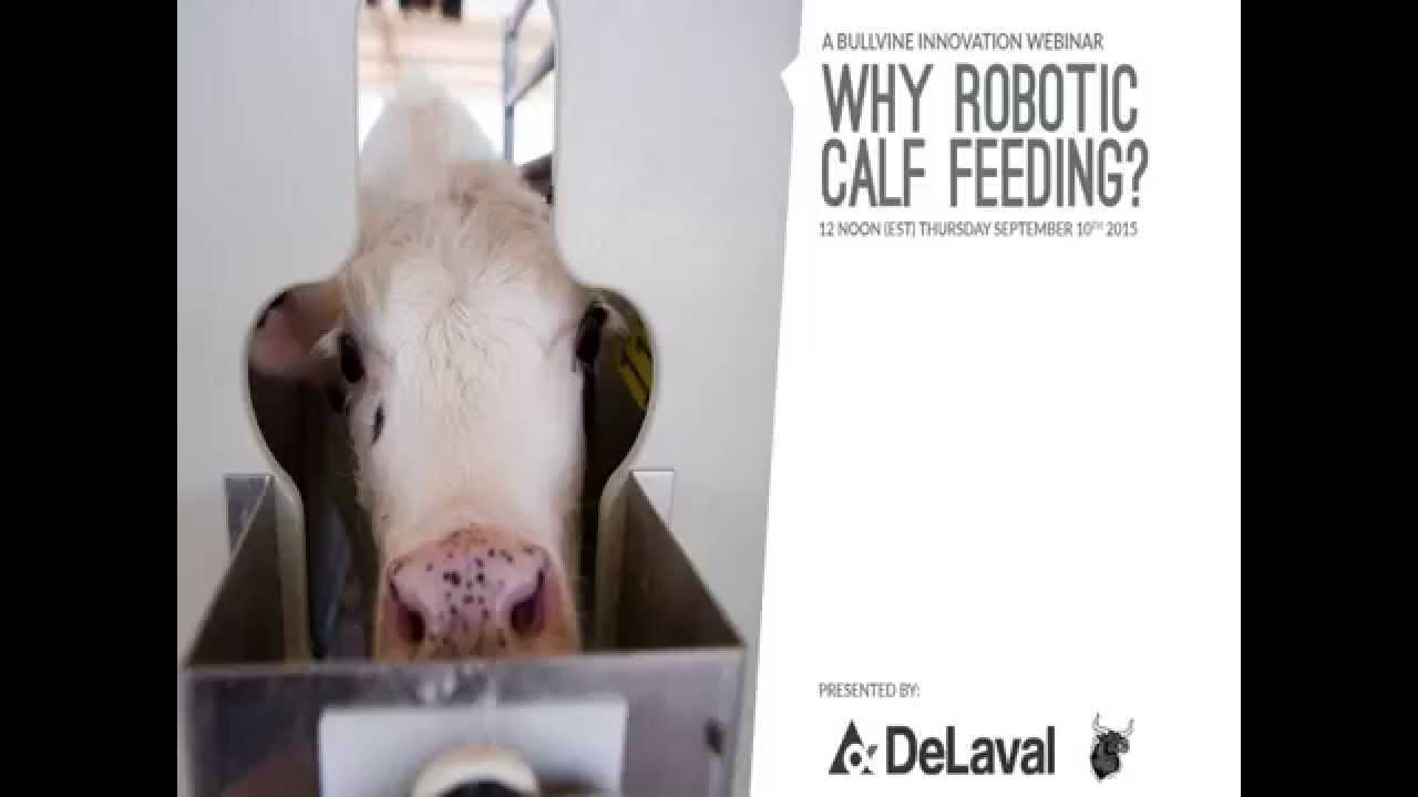 Why Robotic Calf Feeding? - DeLaval Webinar - September 10th 2015 - YouTube