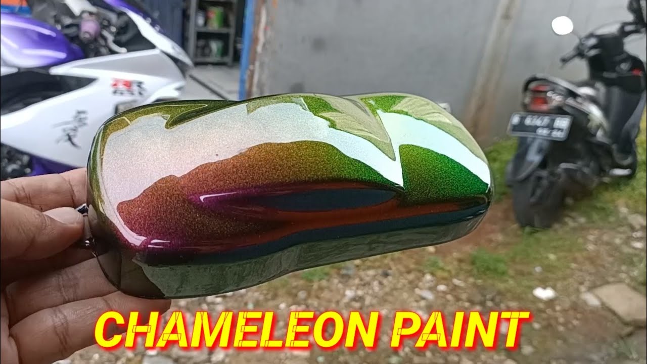 CAT BUNGLON HIJAU KUNING UNGU #chameleon - YouTube