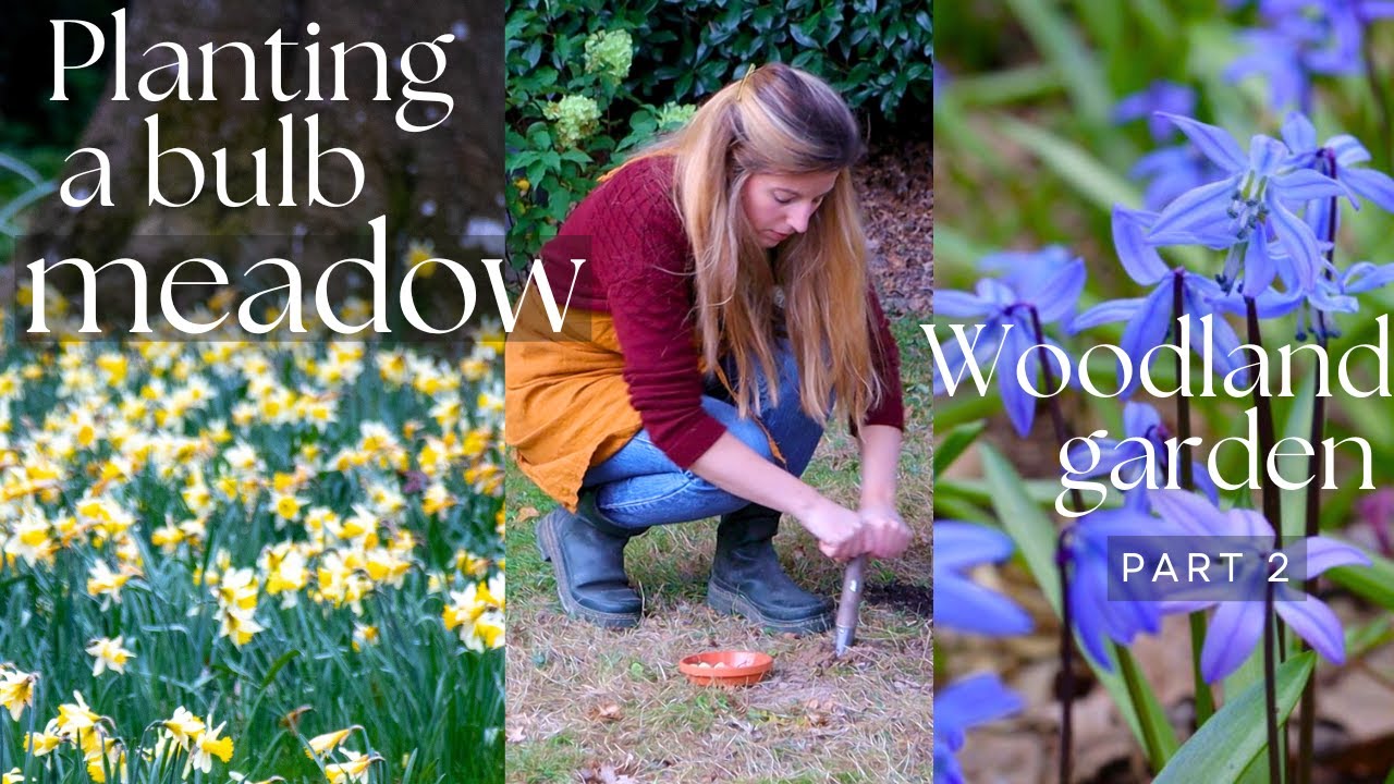 Creating A SPRING BULB MEADOW 💛🌳 Planting Daffodils, Muscari & more in Grass (Woodland garden p2 ...