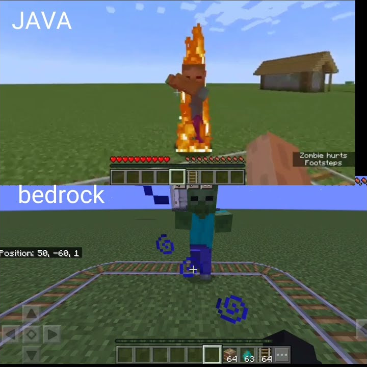 Minecraft java edition VS bedrock edition - YouTube