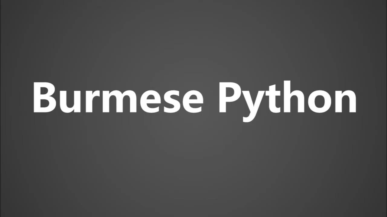 How To Pronounce Burmese Python - YouTube