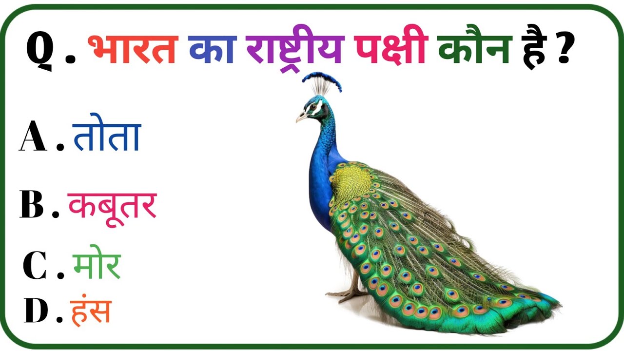 JK Question || JK question in Hindi || Jk question and answer || Jk ...