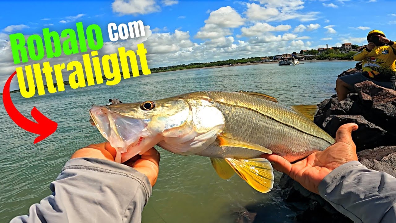 ROBALÃO NAS PEDRAS COM MATERIAL ULTRALIGHT! Pescaria de robalo flecha ...