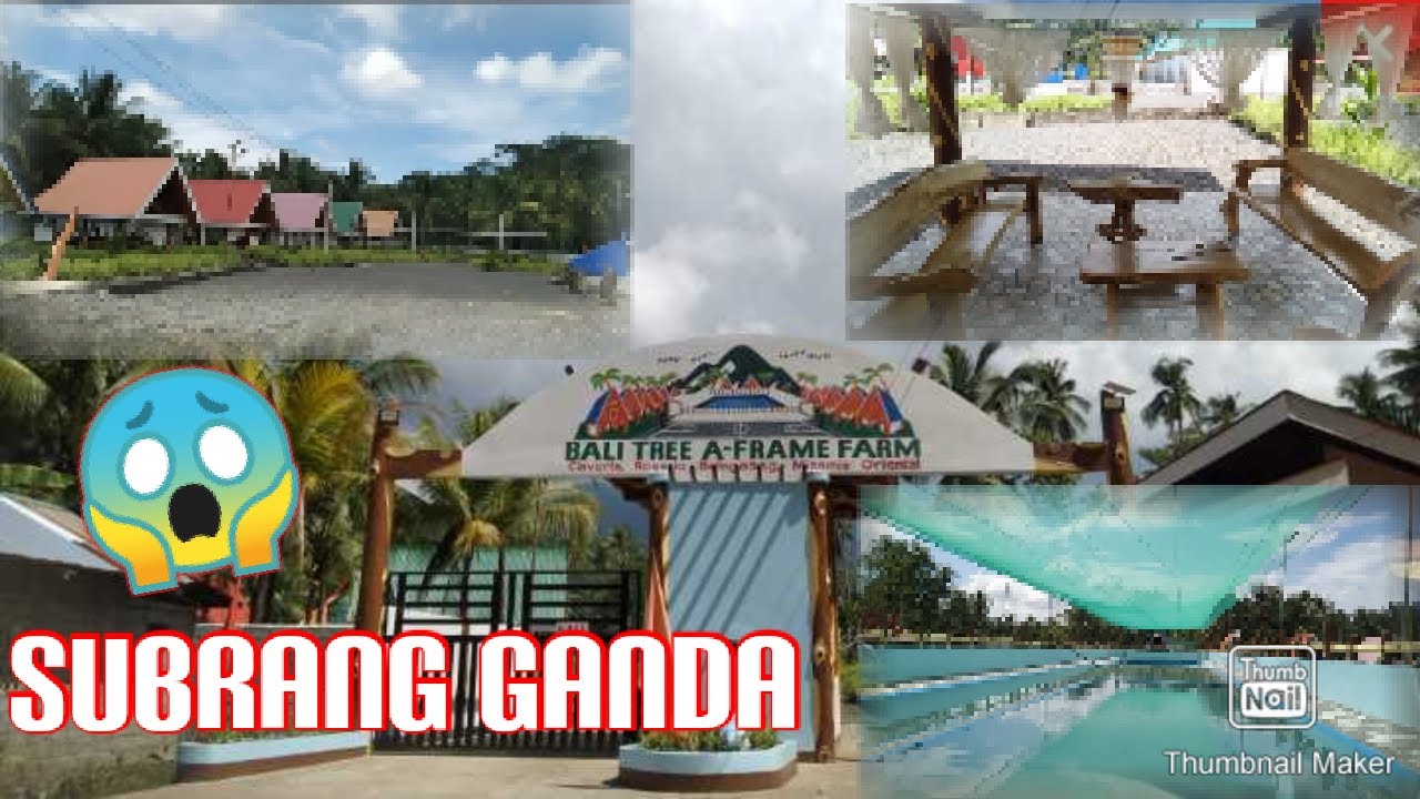 BALI TREE A-FRAME FARM ang ganda dito(Lalang Vlog) - YouTube