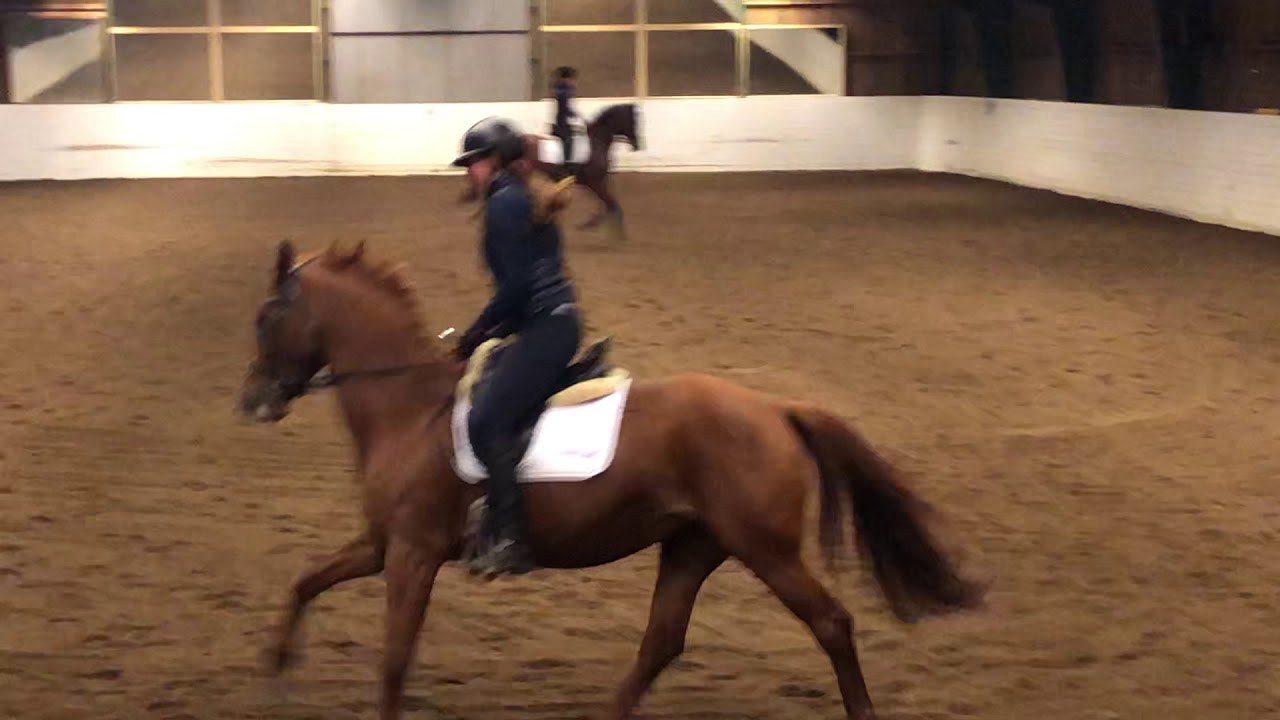 Teoriveckan HT20: Bålsta Ridskolas Dressyrclinic del 1 - YouTube