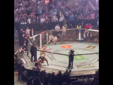 Charles Oliveira T.K.O Michael chandler UFC 262 || AND NEW || From the ...