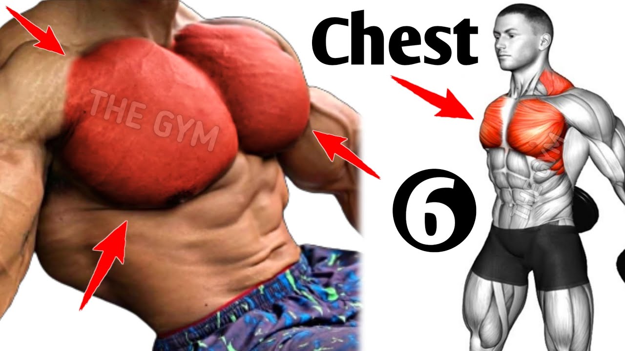 6 Big Chest Exercises Fastest For Huge Chest Youtube