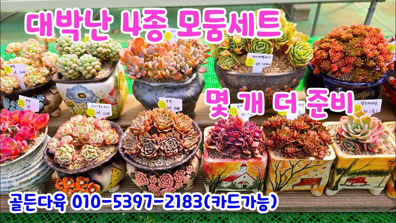 250402๐๊ณจ๋ ๋ค์ก ์์ฐ ํฅ๋น ํ์ฐจ์ด ์์ธ์ ๊ธ ์์ค๋ฉ๋๋ค ์ ๋ฐ๋ ๋ผ ์์ฌํ ๋ผ์ธ ํฐ์น๋ฏธ ํ์ฅ๋ฏธ ์์ด์๊ทธ๋ฆฐ ๋ฌ์ฐ Youtube
