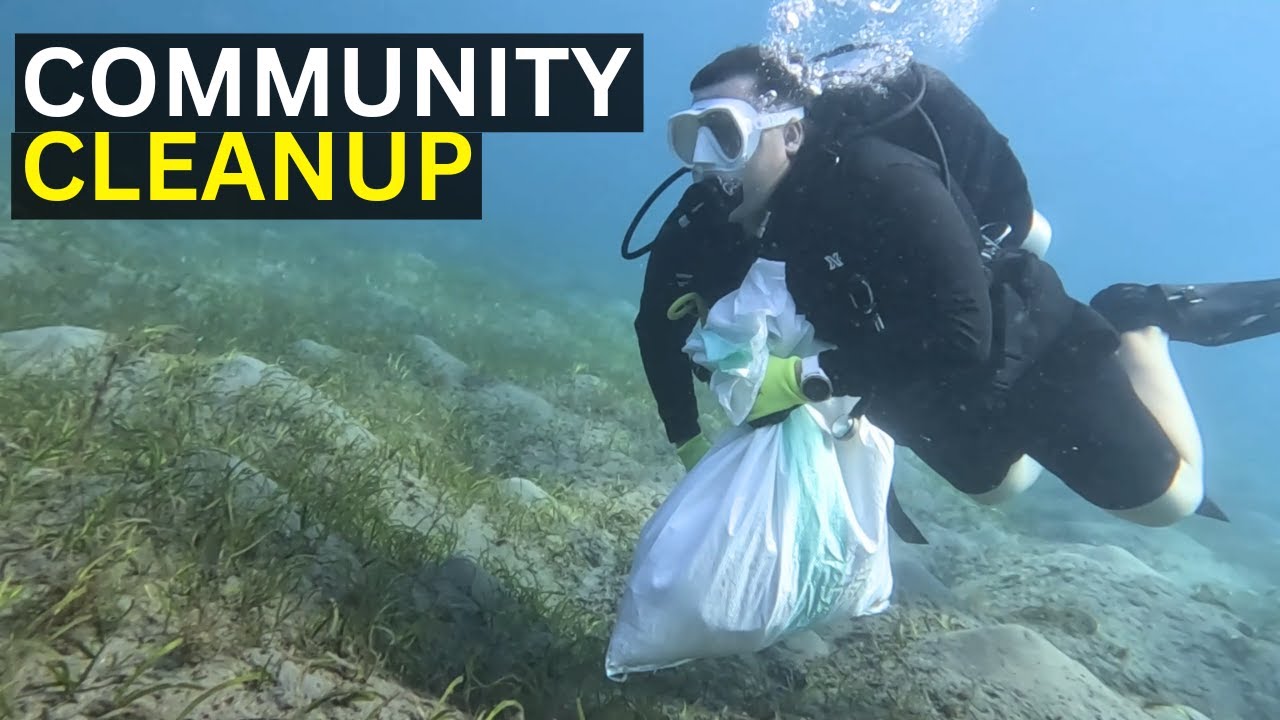 EPIC underwater cleanup | Picking up trash from reef and beaches - YouTube