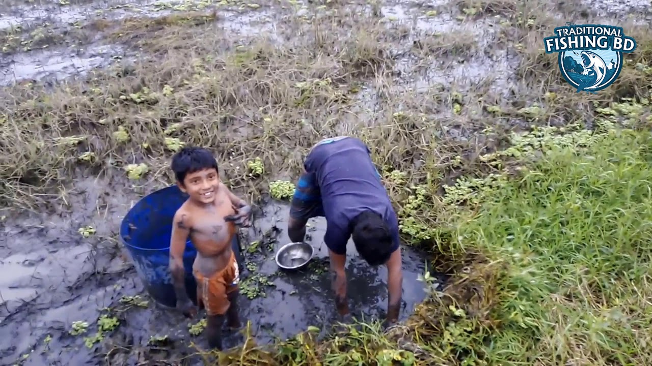 Traditional village fishing | Boy Catching fish From Mud Water in Dry ...