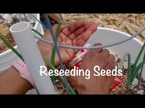 Reseeding Containers | Season 4 | E36 - YouTube