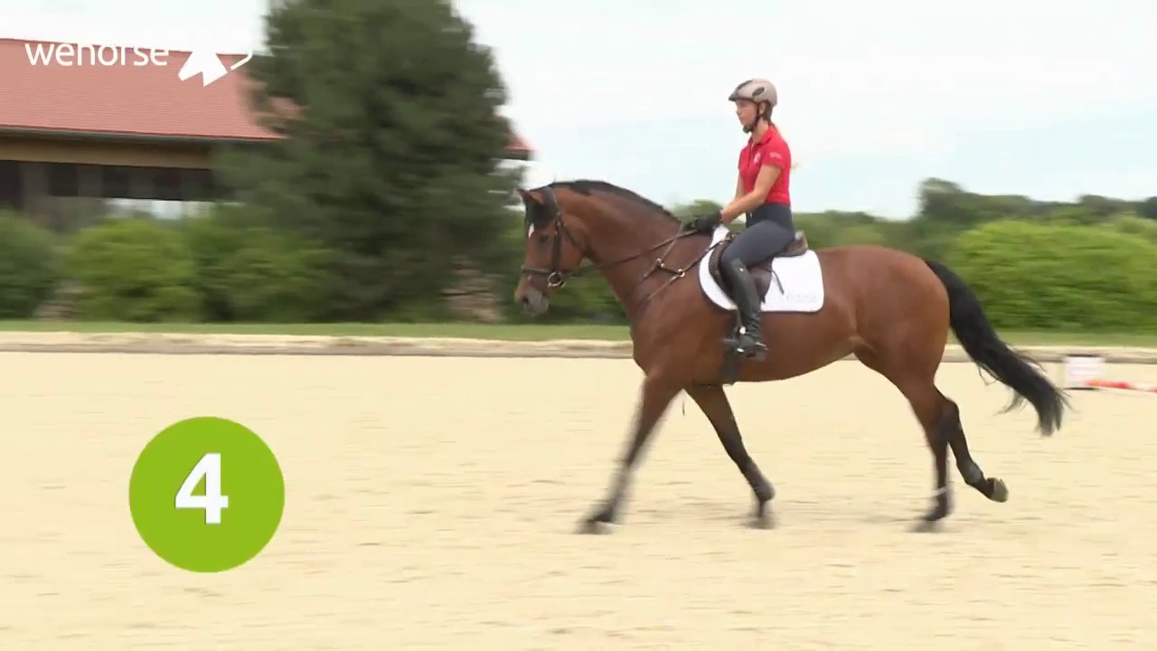 Springreiten lernen - so können Cavaletti dir helfen | Eva Deimel - YouTube