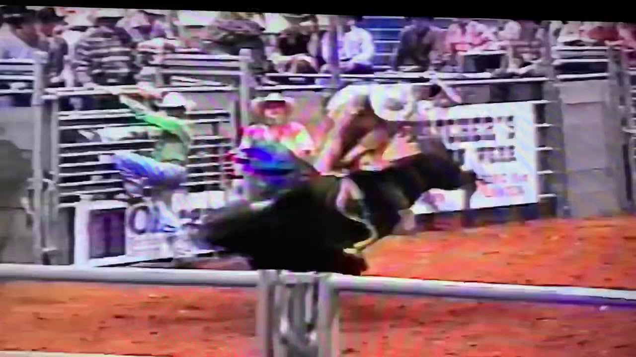 88 Best Shot - D&H Cattle - YouTube
