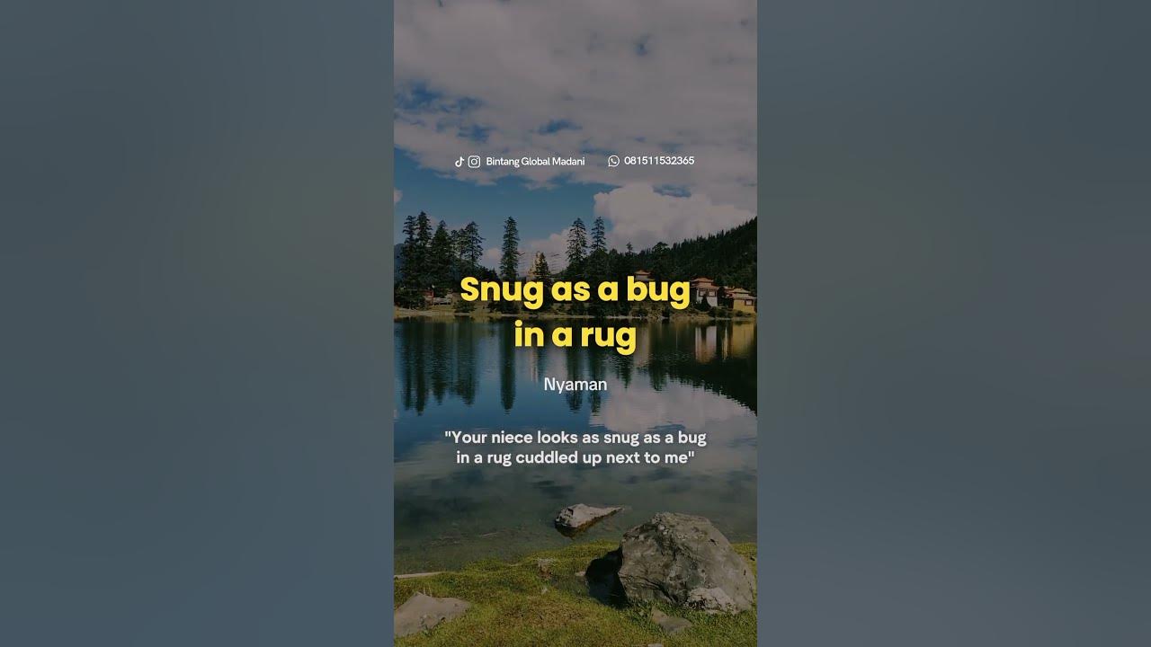 IDIOM "Snug as a bug in a rug" #idioms #english - YouTube